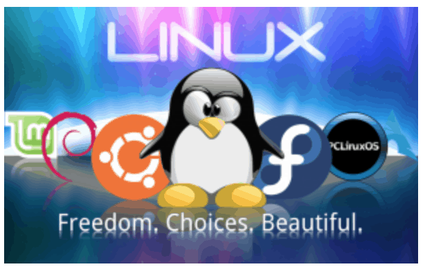 Tips memilih distro linux untuk pemula - Jagoan IT